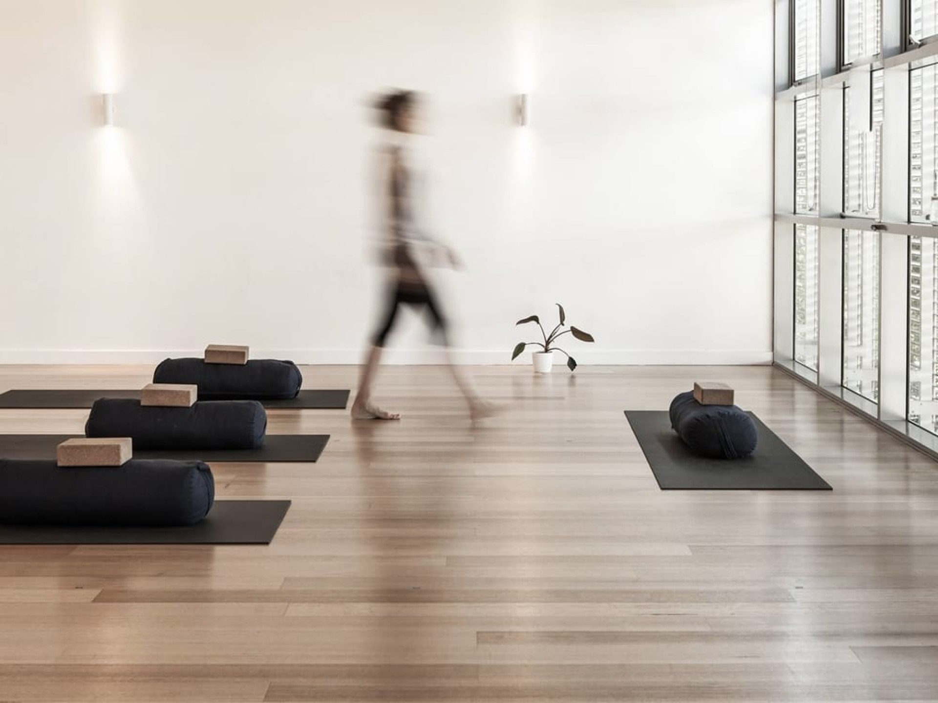 Modern Movement - Balgowlah | Overview