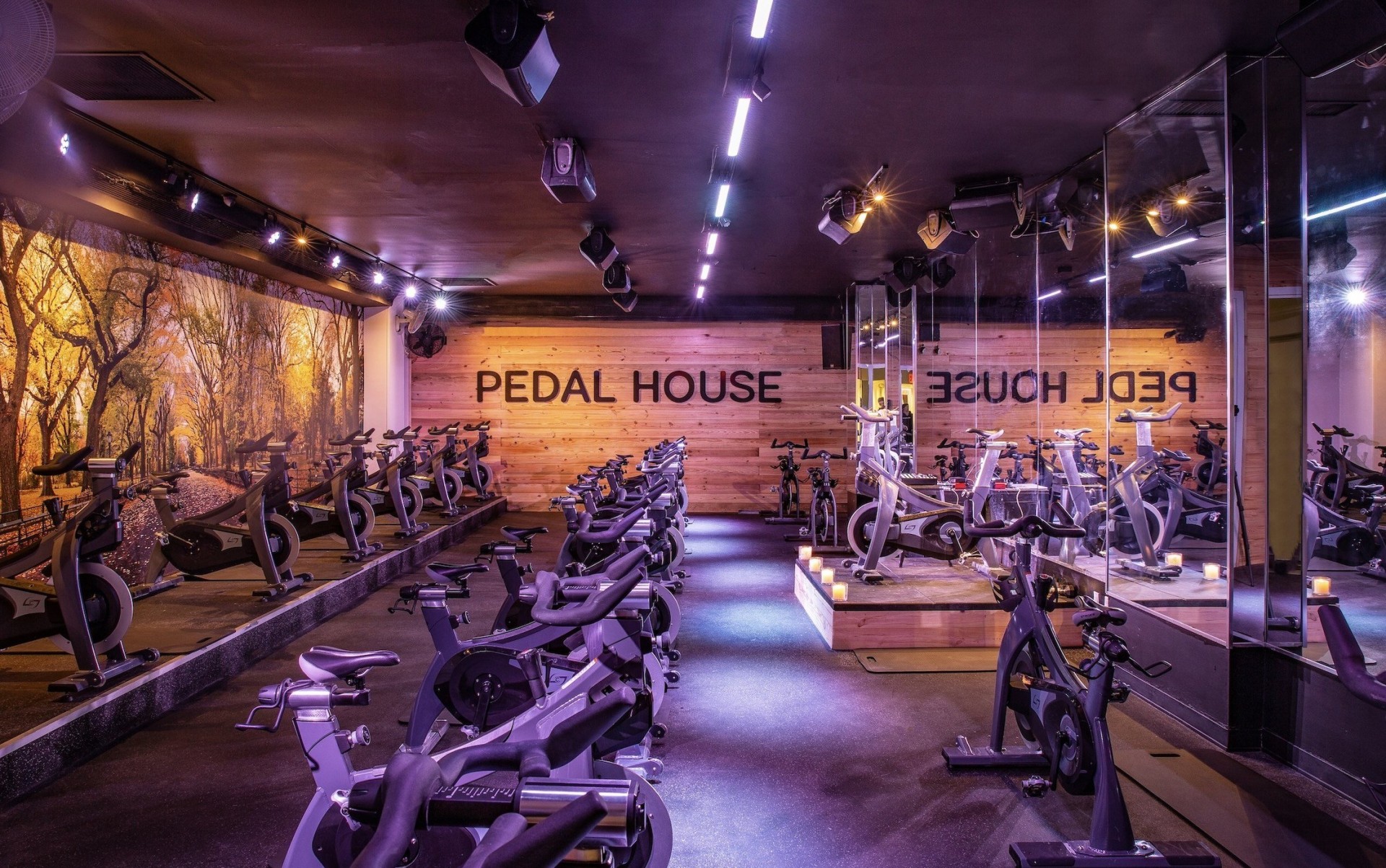 Pedal House | Overview