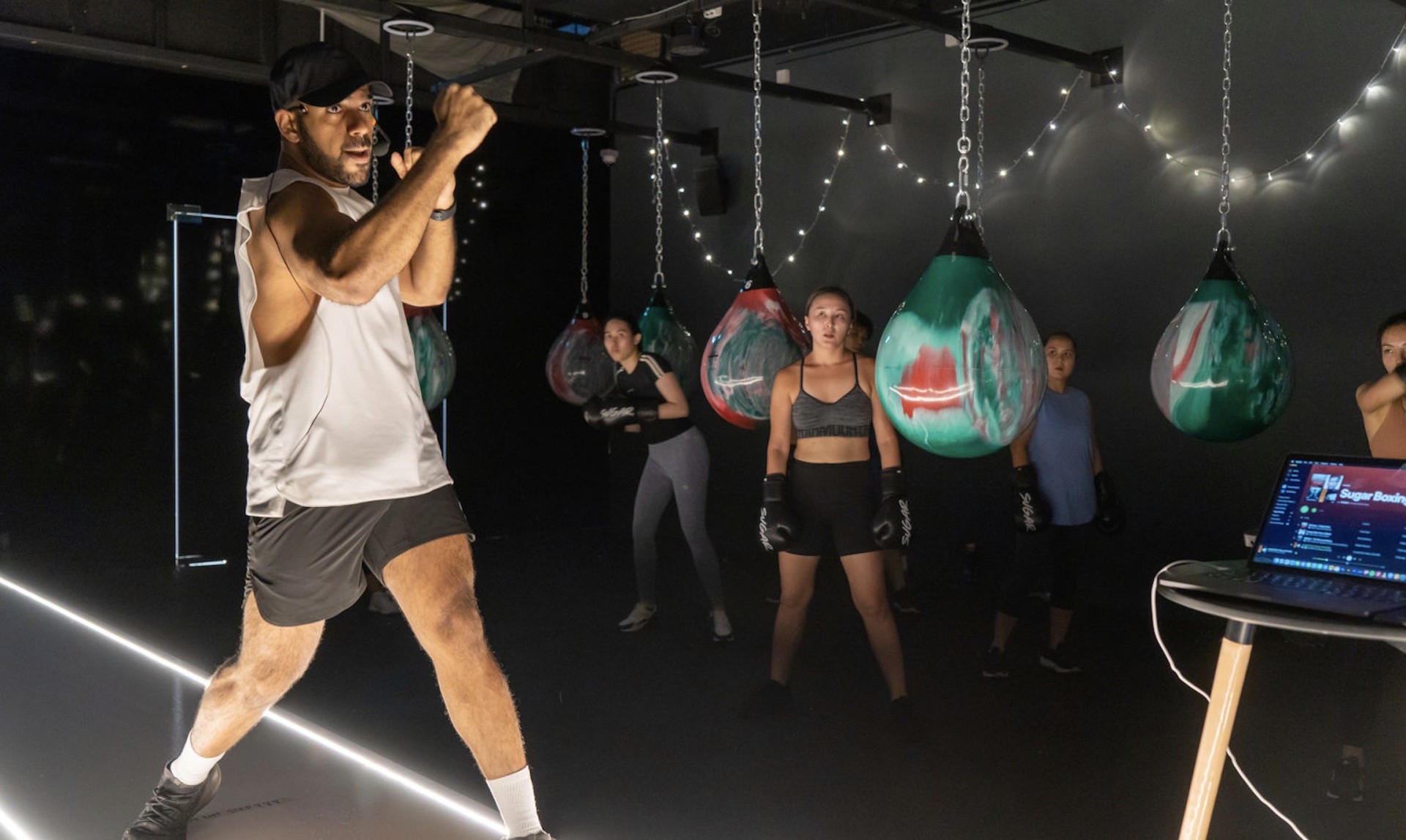 Sugar Boxing - Orchard | Overview